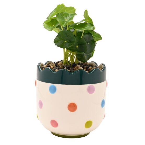 Raspberry Blossom Bobble Planter With Faux Plant | Widdop and Co.