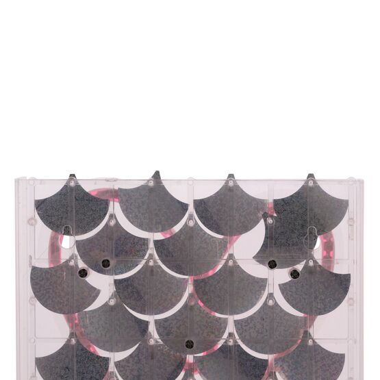 Signography Neon Collection Wall or Mantel Sign - Heart | Widdop and Co.